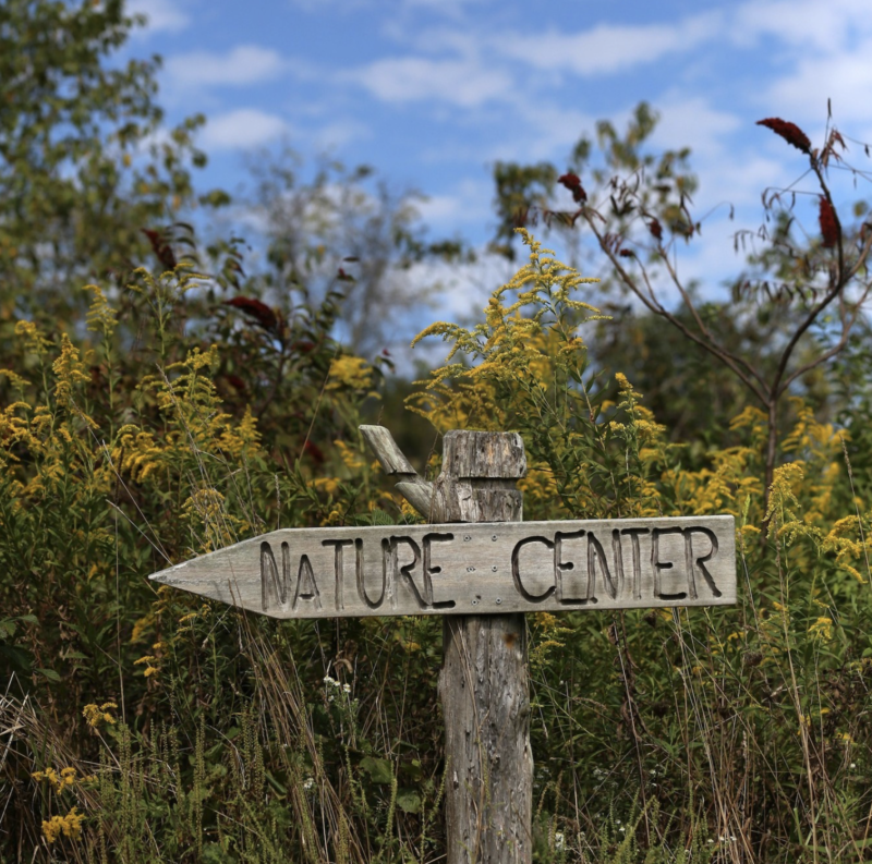 Raven Run Nature Sanctuary – Green Check Lexington